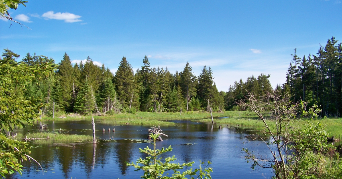 North American Wetlands Conservation Act (NAWCA) U.S. Small Grants | U ...